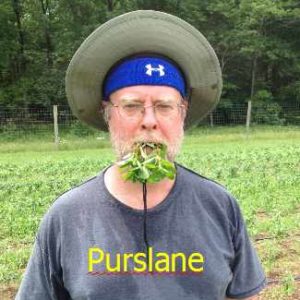 Alan Ritter Interview - The Cosmic Switchboard