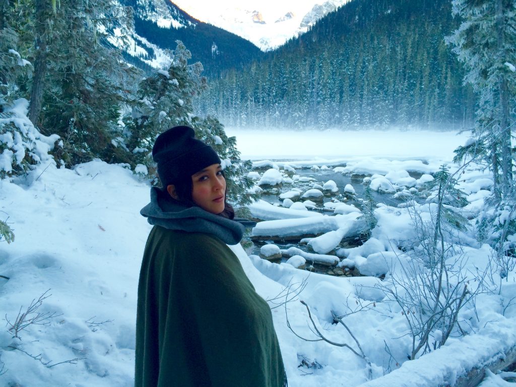 Joedy Cook North American Dogman Project - The Cosmic Switchboard