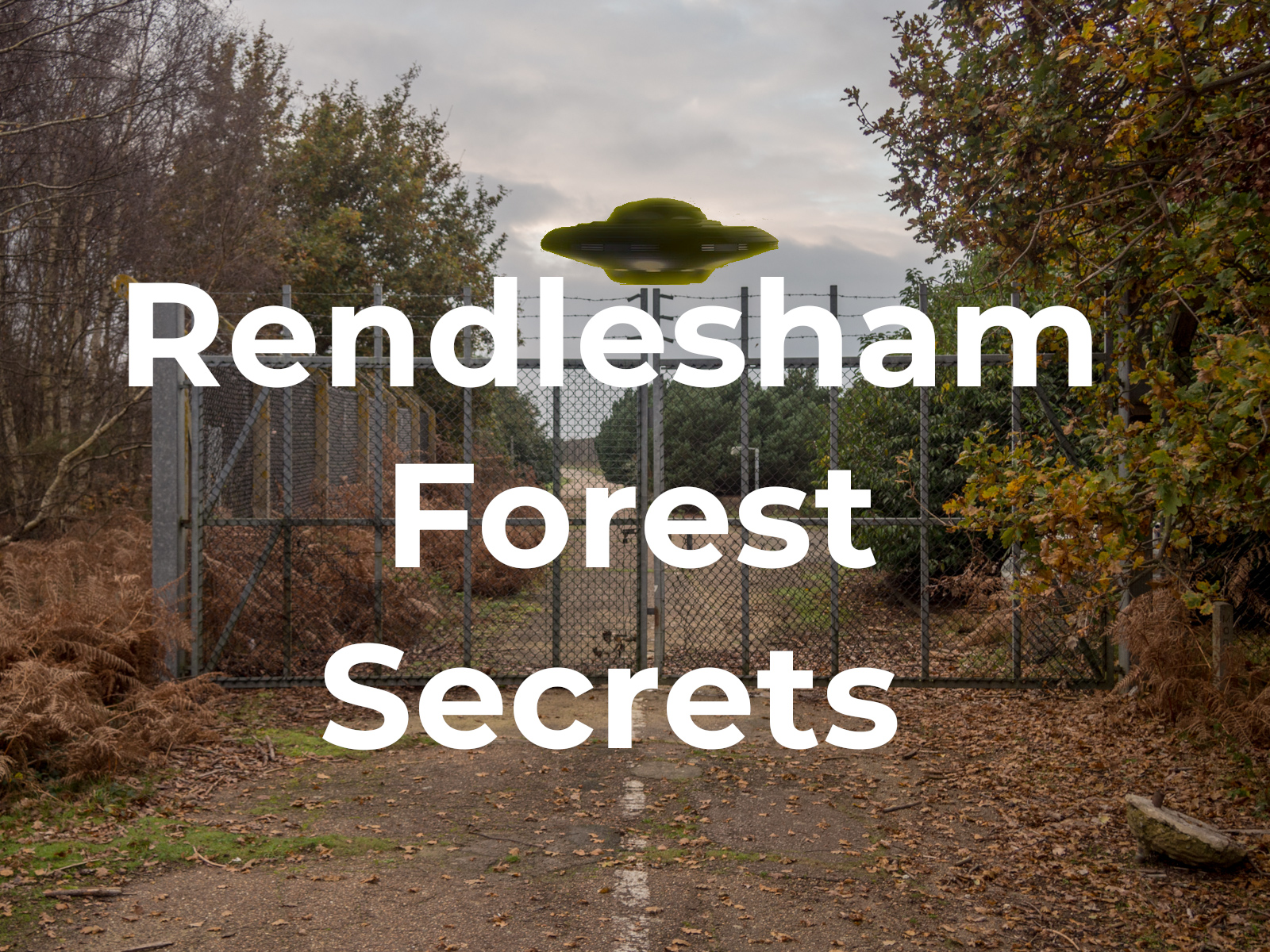 Everything You Wanted to Know About Rendlesham Forest But Were Afraid ...